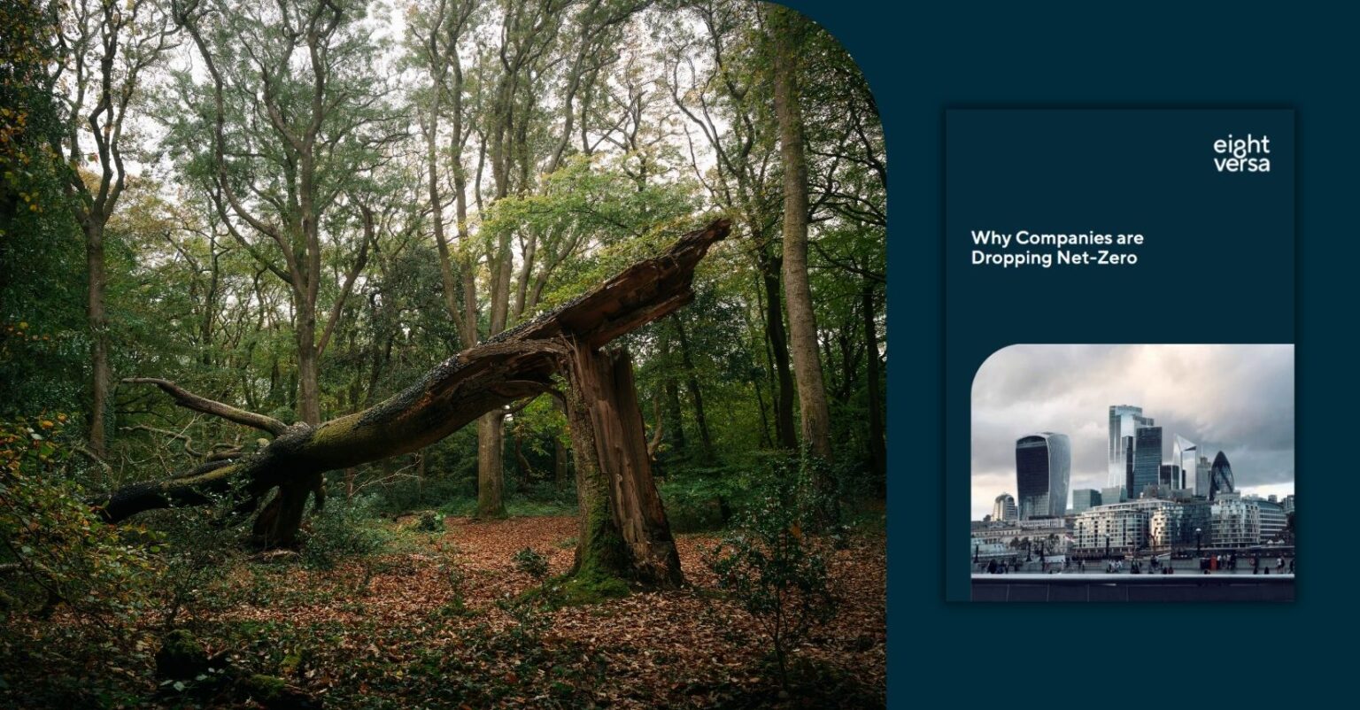 Sustainability Consultancy London - Eight Versa